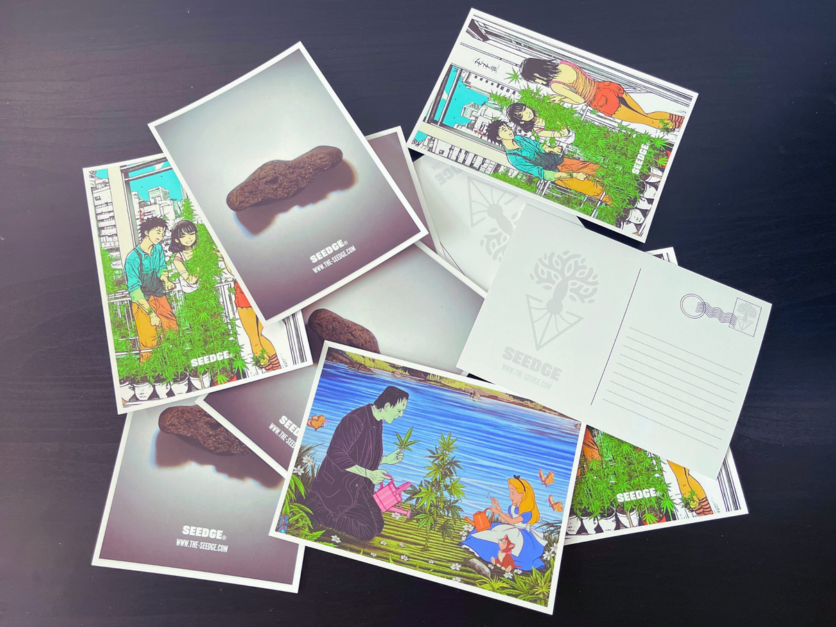 POSTAIS CRIATIVOS – SEEDGE